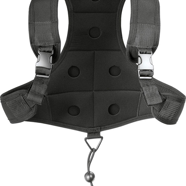 Cargo belts and vests